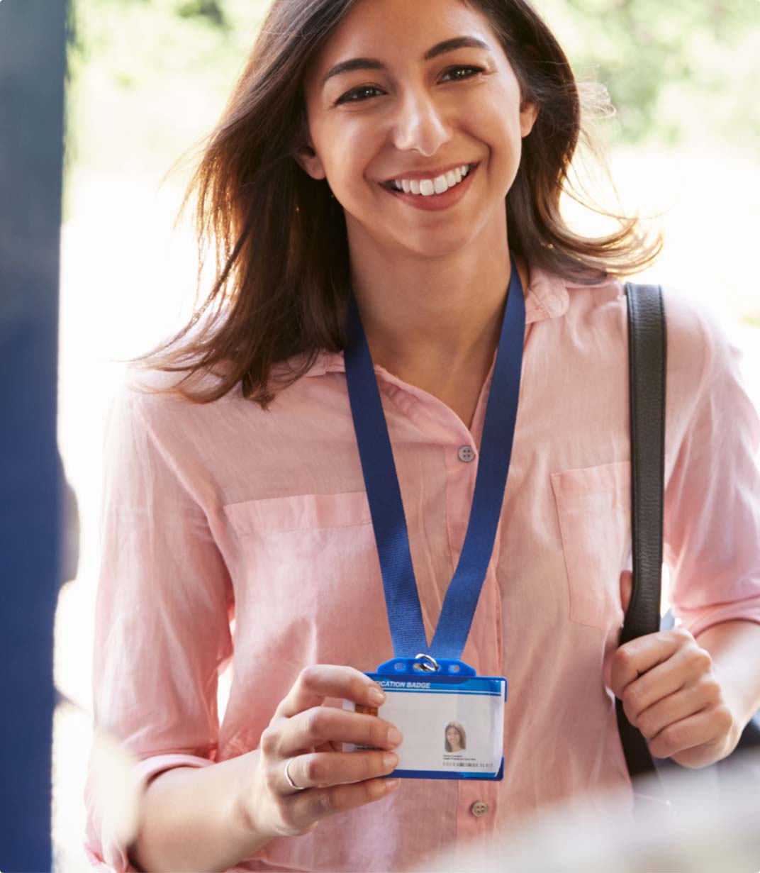 Data Governance Software | Spider Strategies